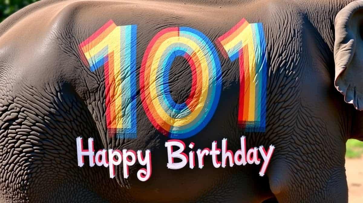 101 years wise and huge in charm. Like an elephant with a party hat ...