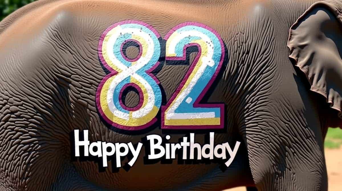 82 years wise and huge in charm. Like an elephant with a party hat ...